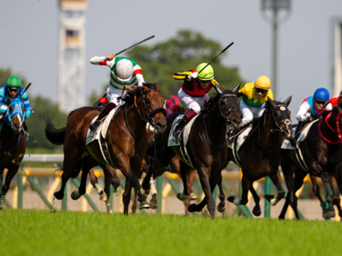 JRAジャパンカップに異変あり！ 優勝賞金4億円の行方は…実力馬不在の大混戦を見抜く有力情報公開！ｰオカルトニュースメディア トカナ